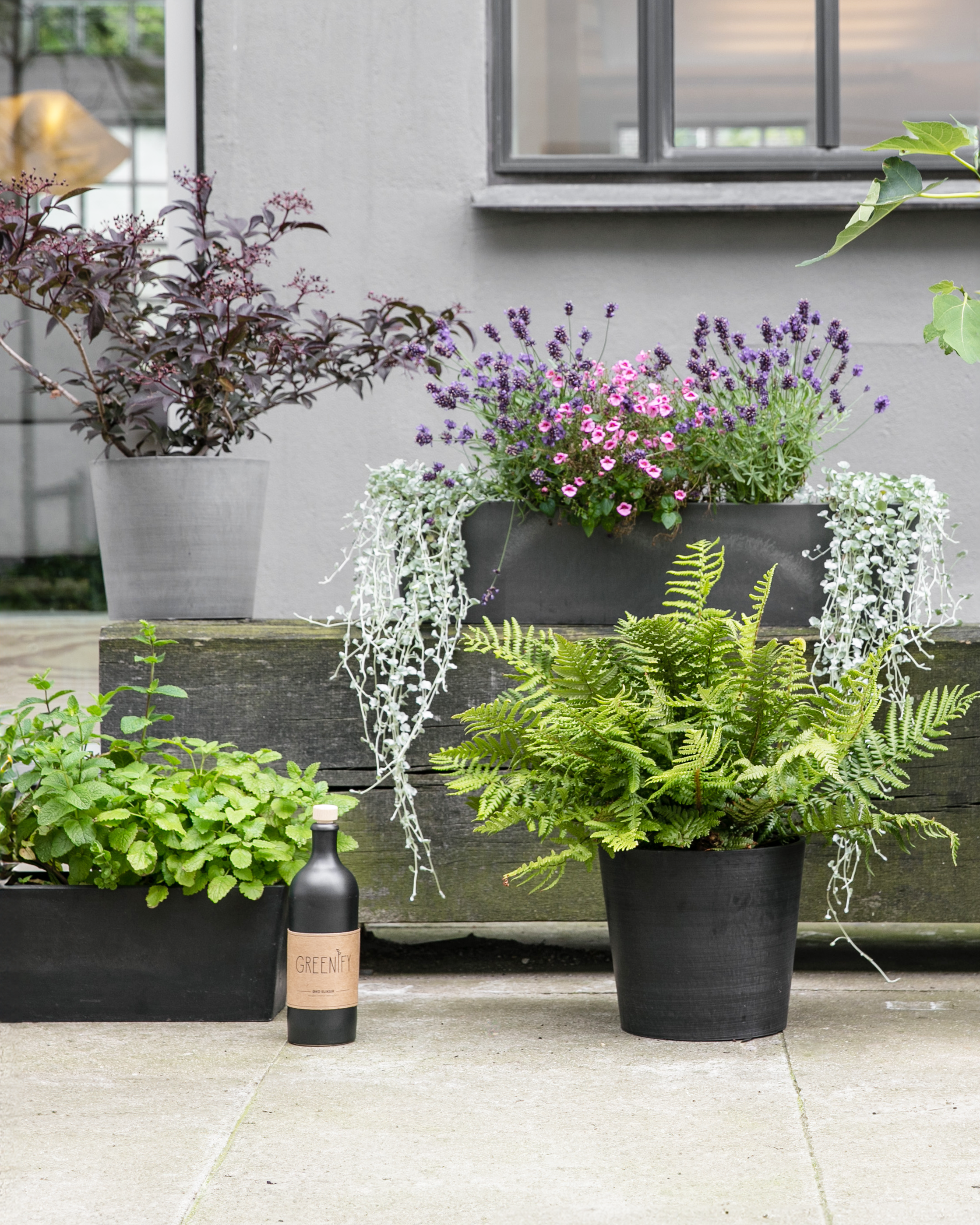 Gør din altan eller terrasse sommerklar med planter, krukker & altanka ...