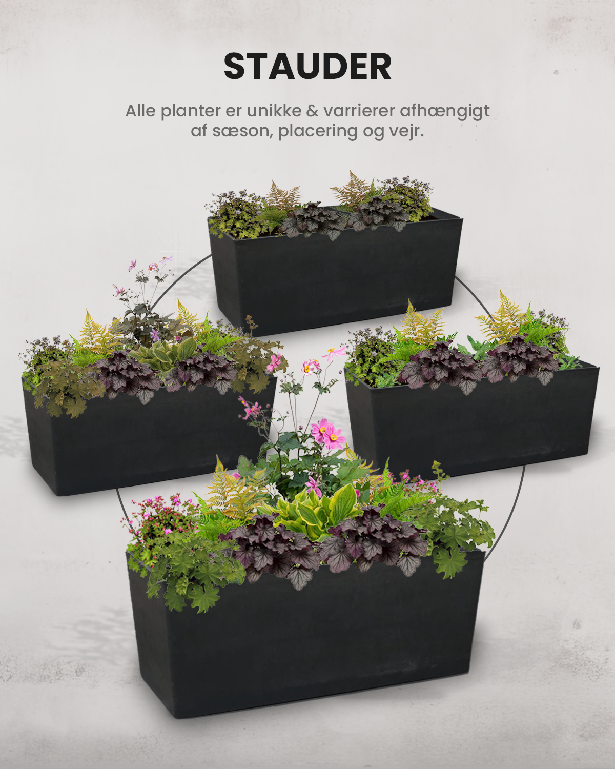 Det Skyggetolerante Staudebed – Greenify